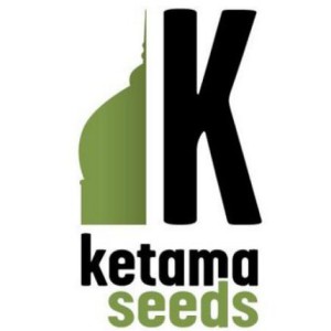 Banque de graines de cannabis – KETAMA SEEDS